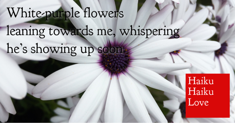White-purple flowers · Haiku Haiku Love