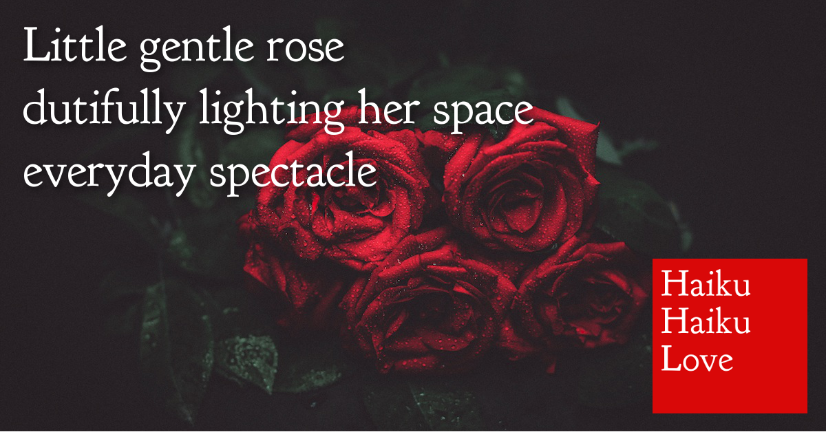 Little gentle rose · Haiku Haiku Love