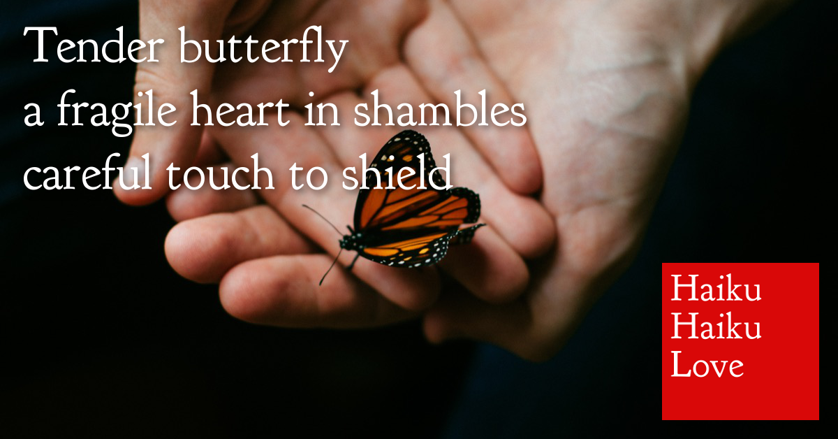 Tender butterfly · Haiku Haiku Love