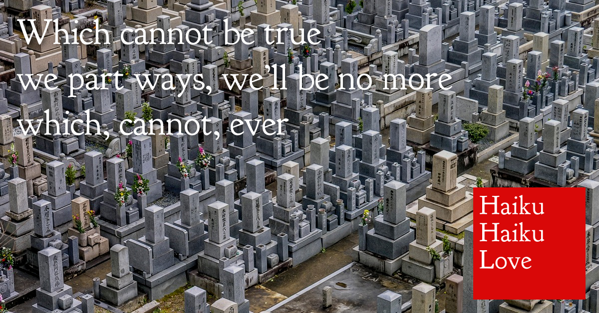 Which cannot be true · Haiku Haiku Love