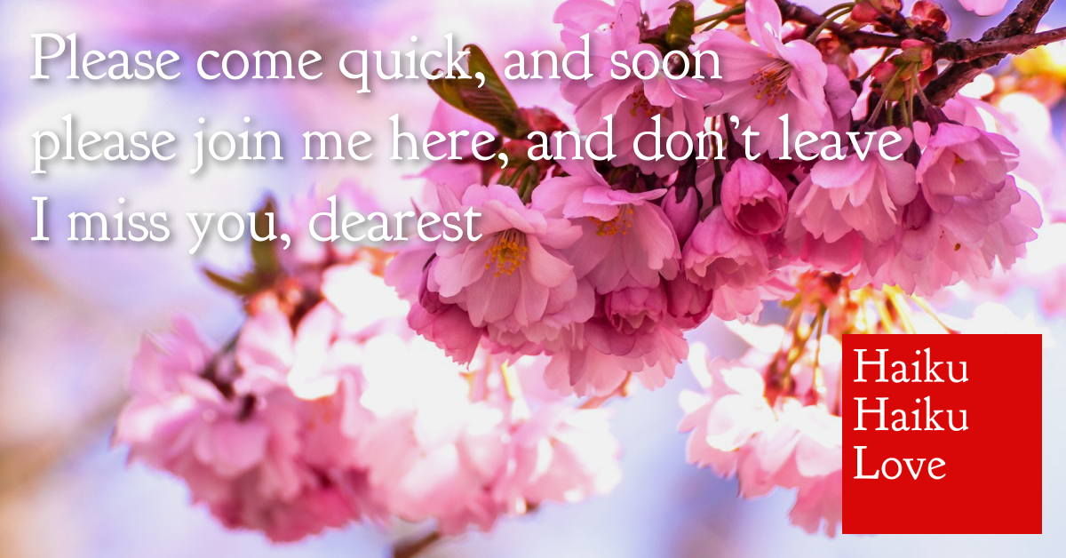 Please come quick, and soon · Haiku Haiku Love
