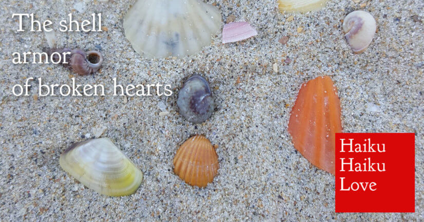 The shell · Haiku Haiku Love