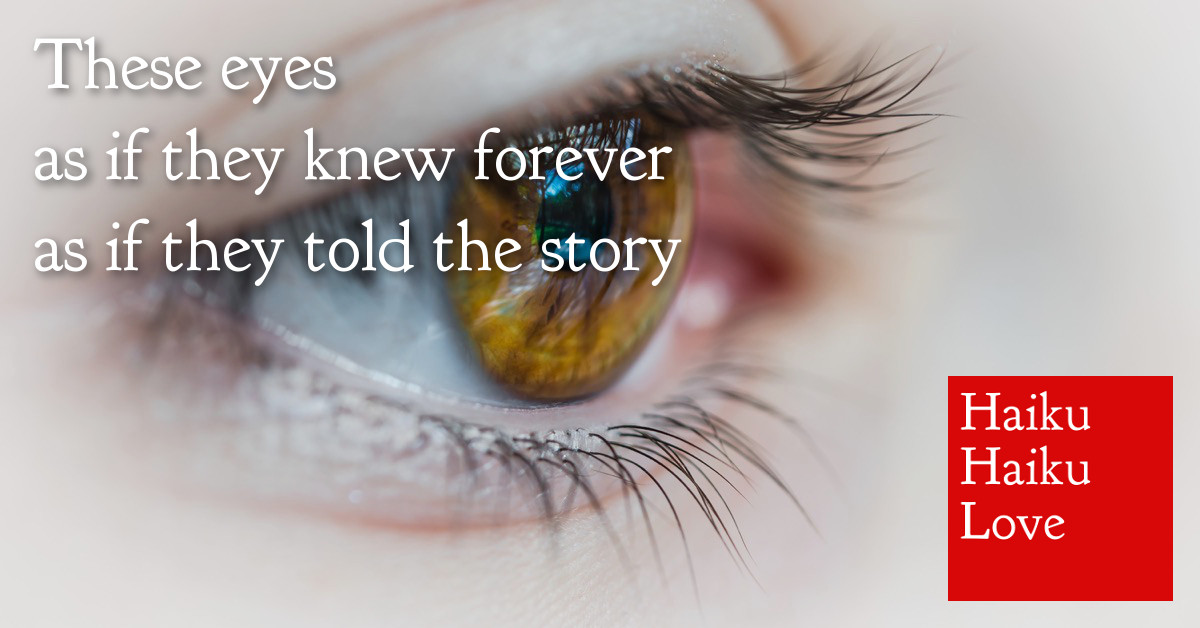 These eyes · Haiku Haiku Love
