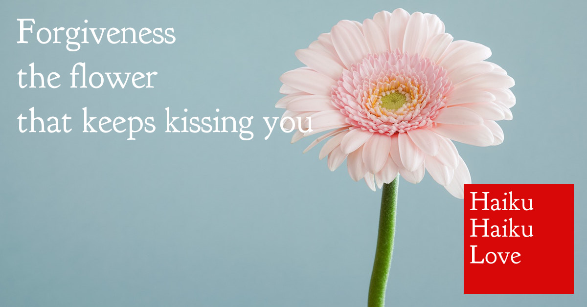 Forgiveness · Haiku Haiku Love