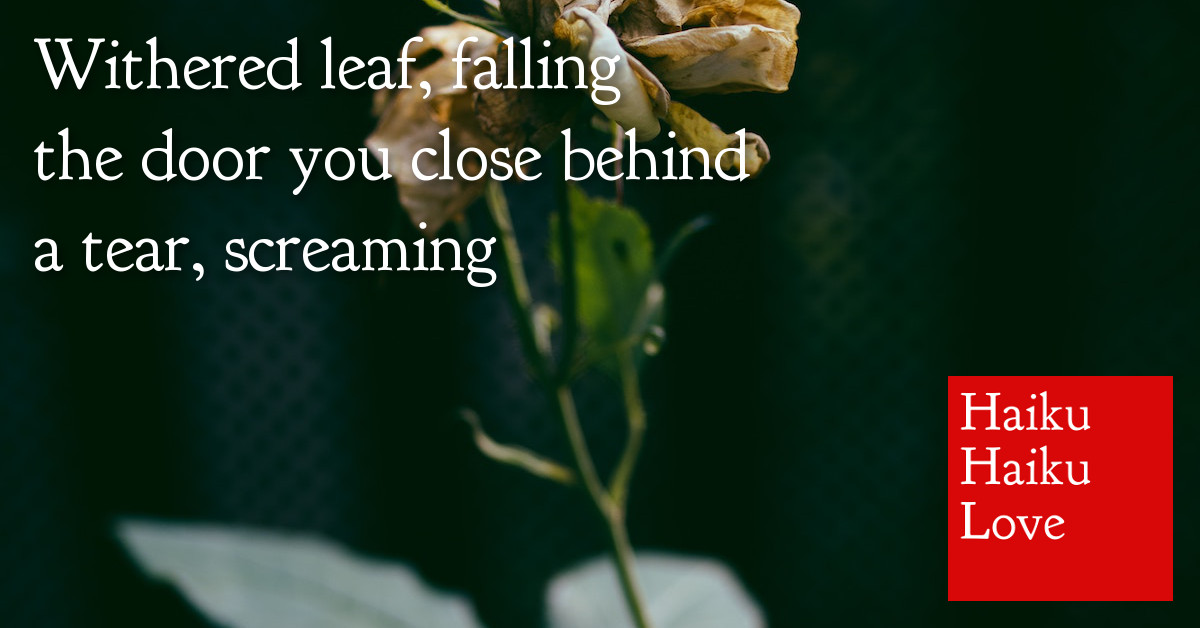 Withered leaf, falling · Haiku Haiku Love