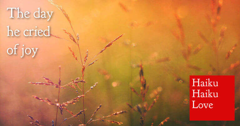 The day · Haiku Haiku Love