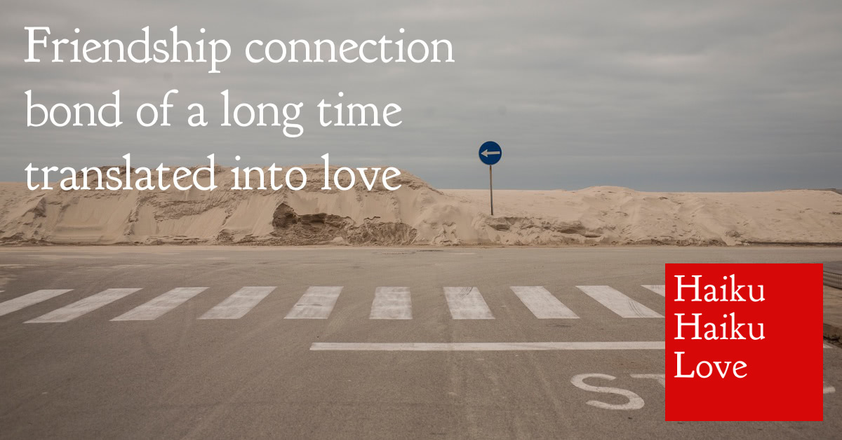 Friendship connection · Haiku Haiku Love