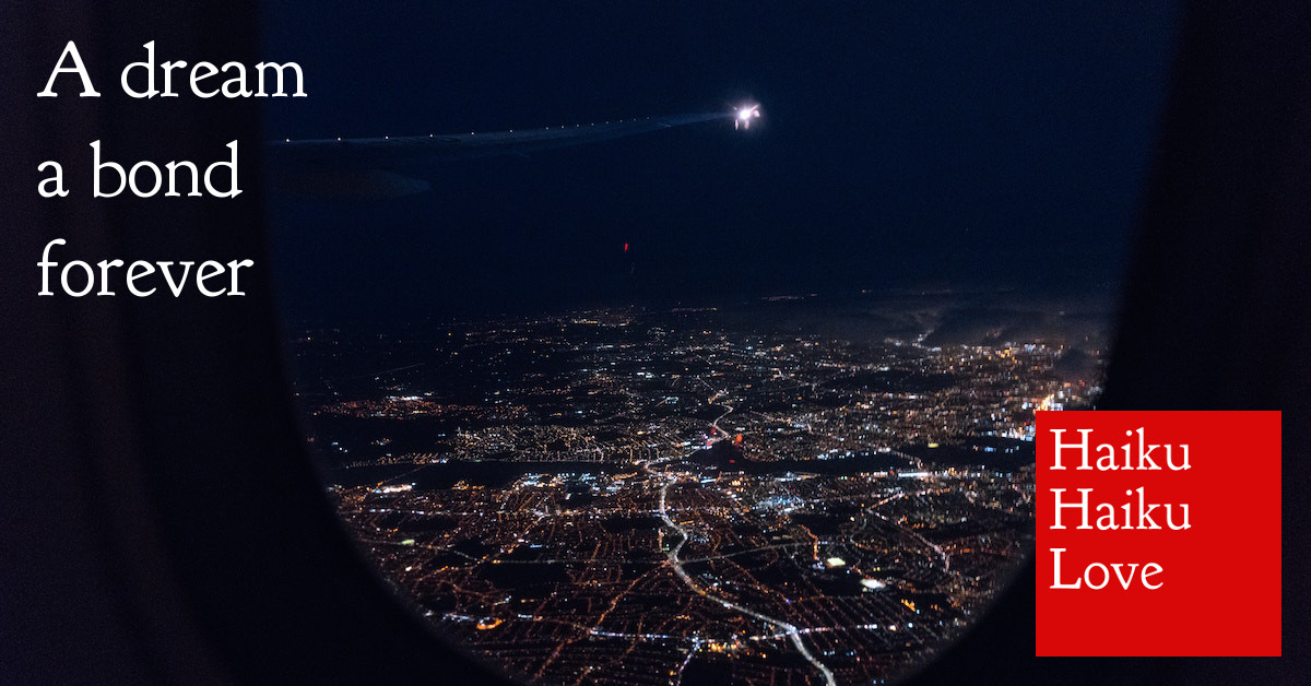 A dream · Haiku Haiku Love