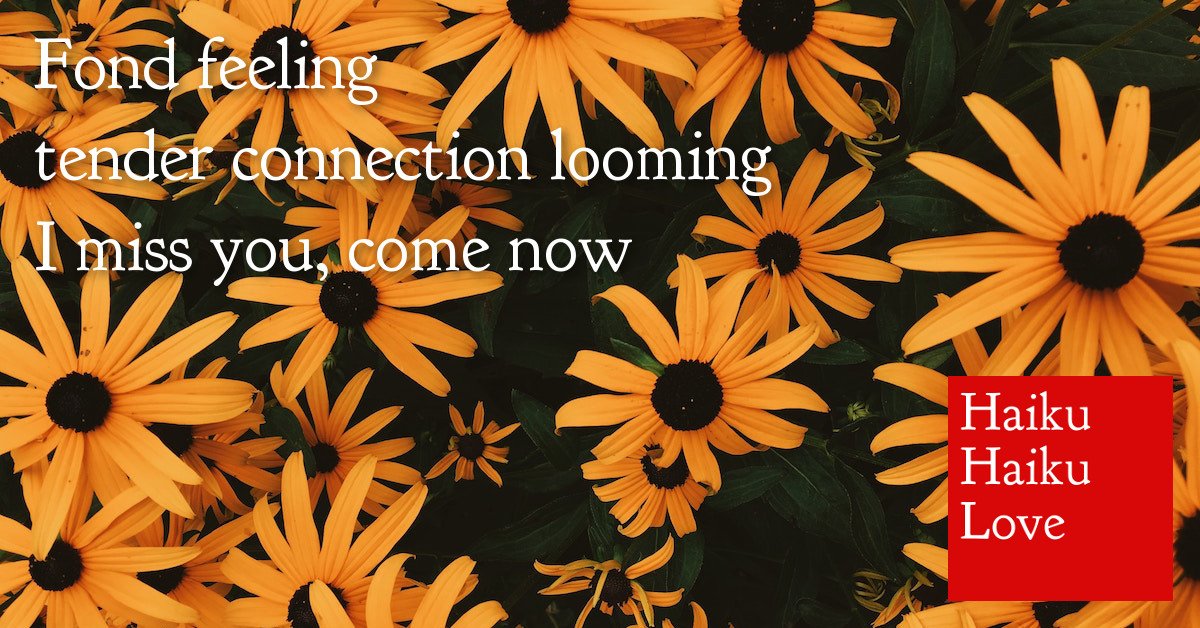 Fond feeling · Haiku Haiku Love