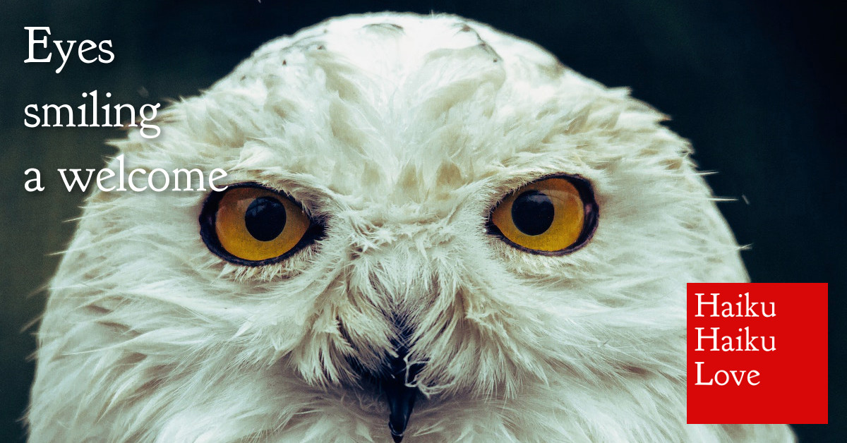 Eyes · Haiku Haiku Love